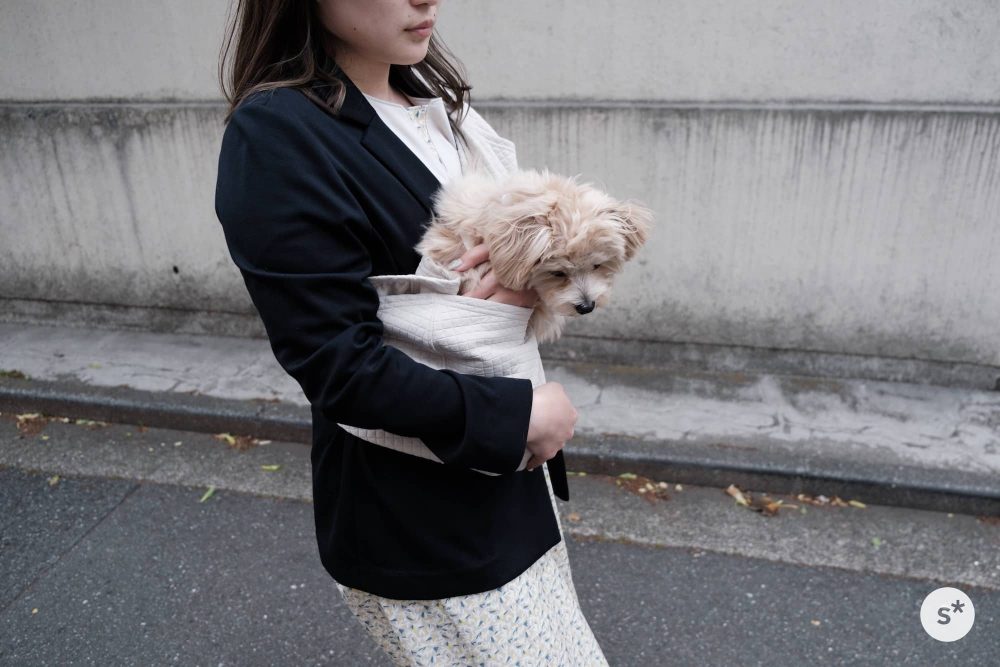 愛犬家のための犬専門写真館 “Dogram” で、ハーフバースデーの撮影を - starnote*