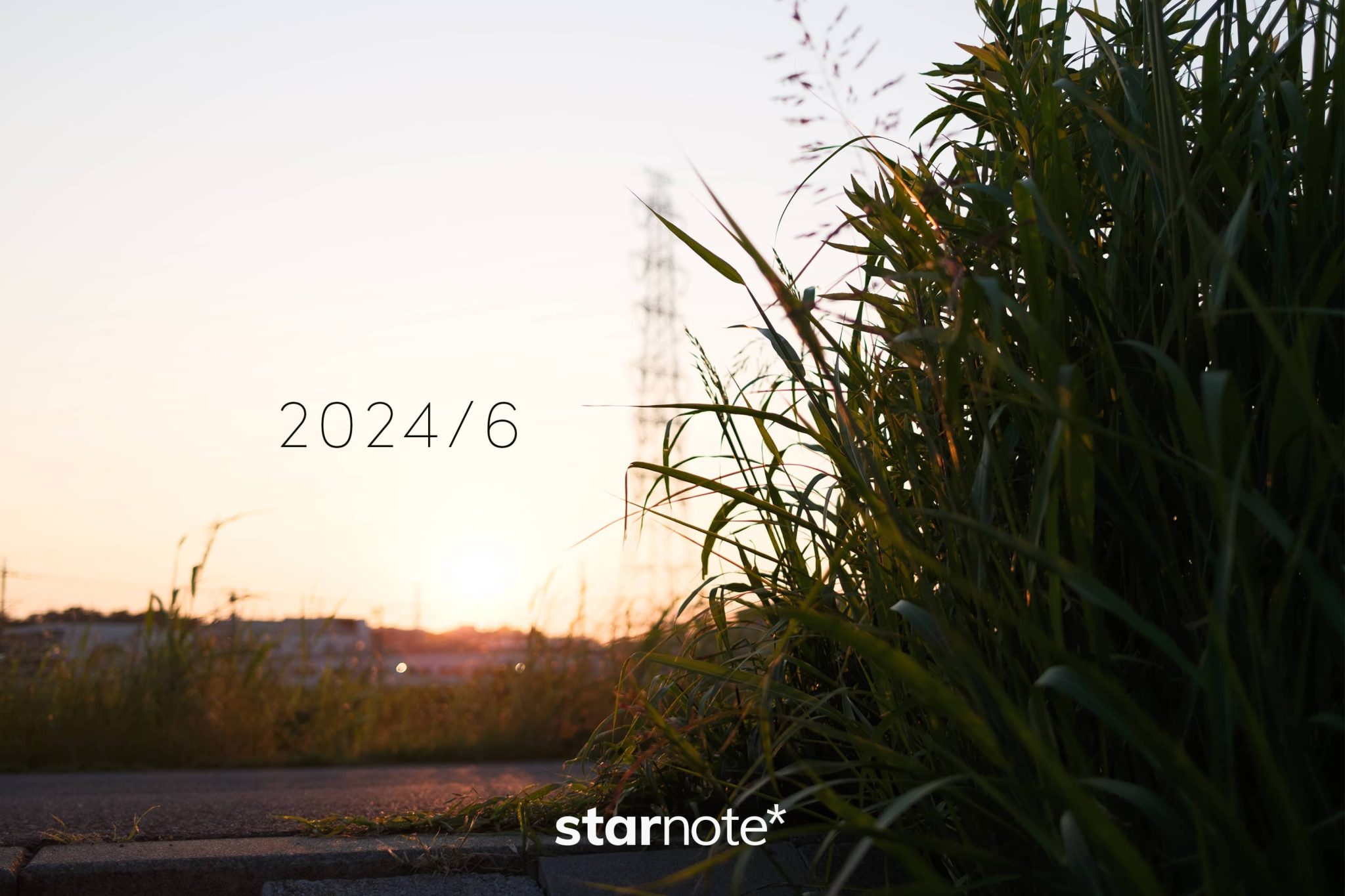 6月前半のいろいろ - starnote*